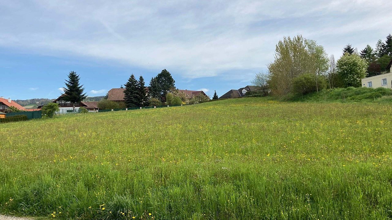 Neues Wohnen in Engerwitzdorf